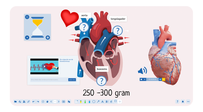 Prowise Touchscreen Ten | Prowise